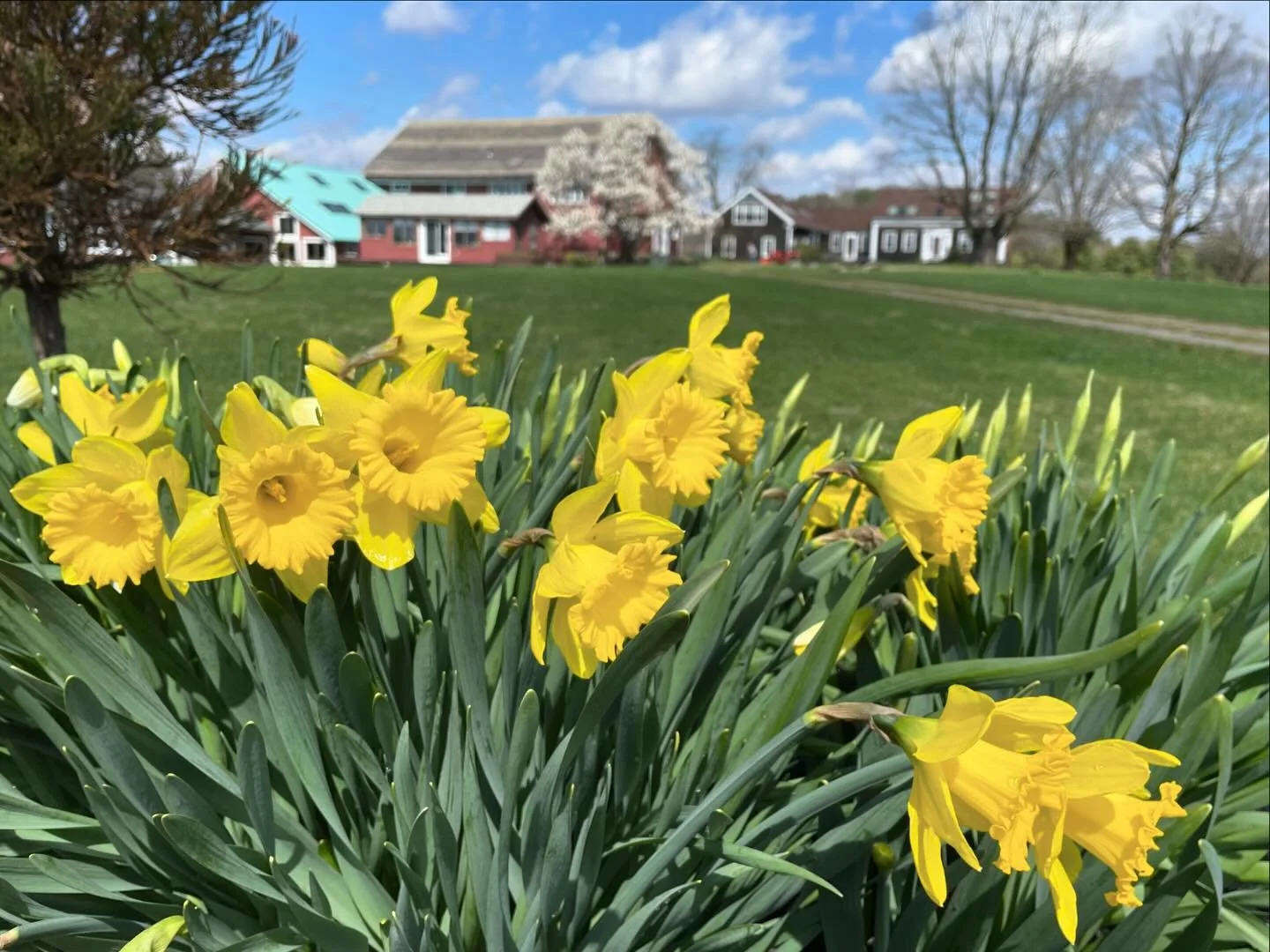 Josh Simpson Glass Studio News | Josh Simpson Glass