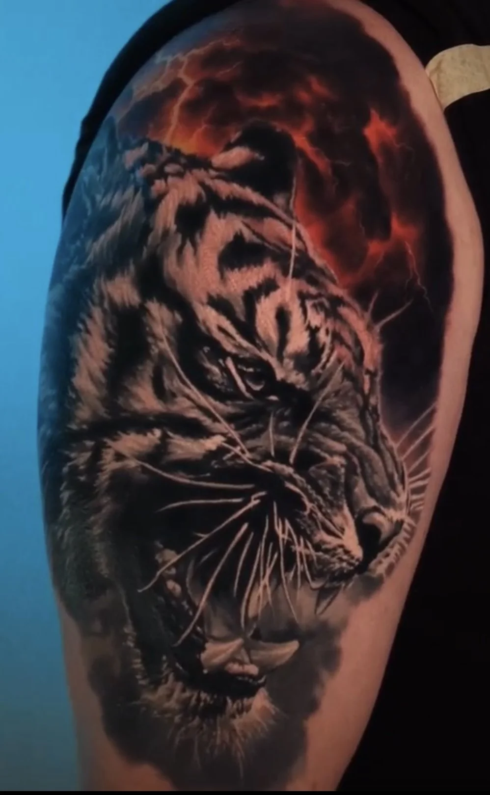 Dmitry — TRILOGY ATELIER