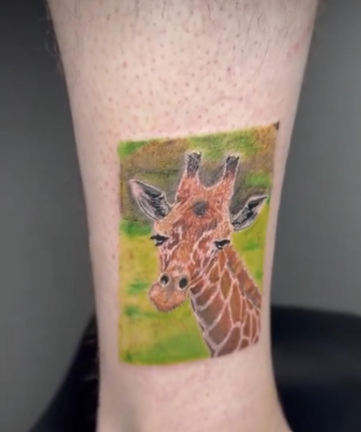 Fabio — TRILOGY ATELIER