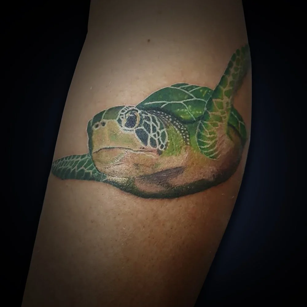 Fabio — TRILOGY ATELIER