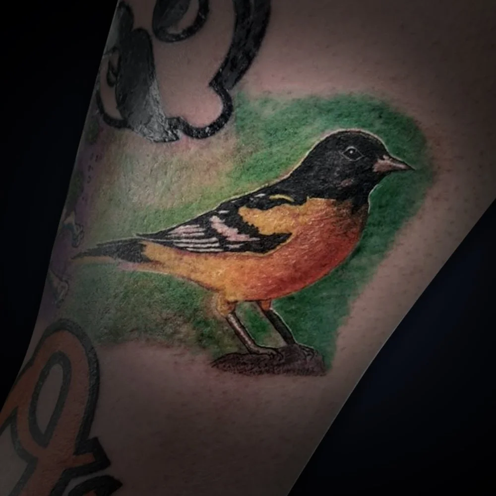 Fabio — TRILOGY ATELIER