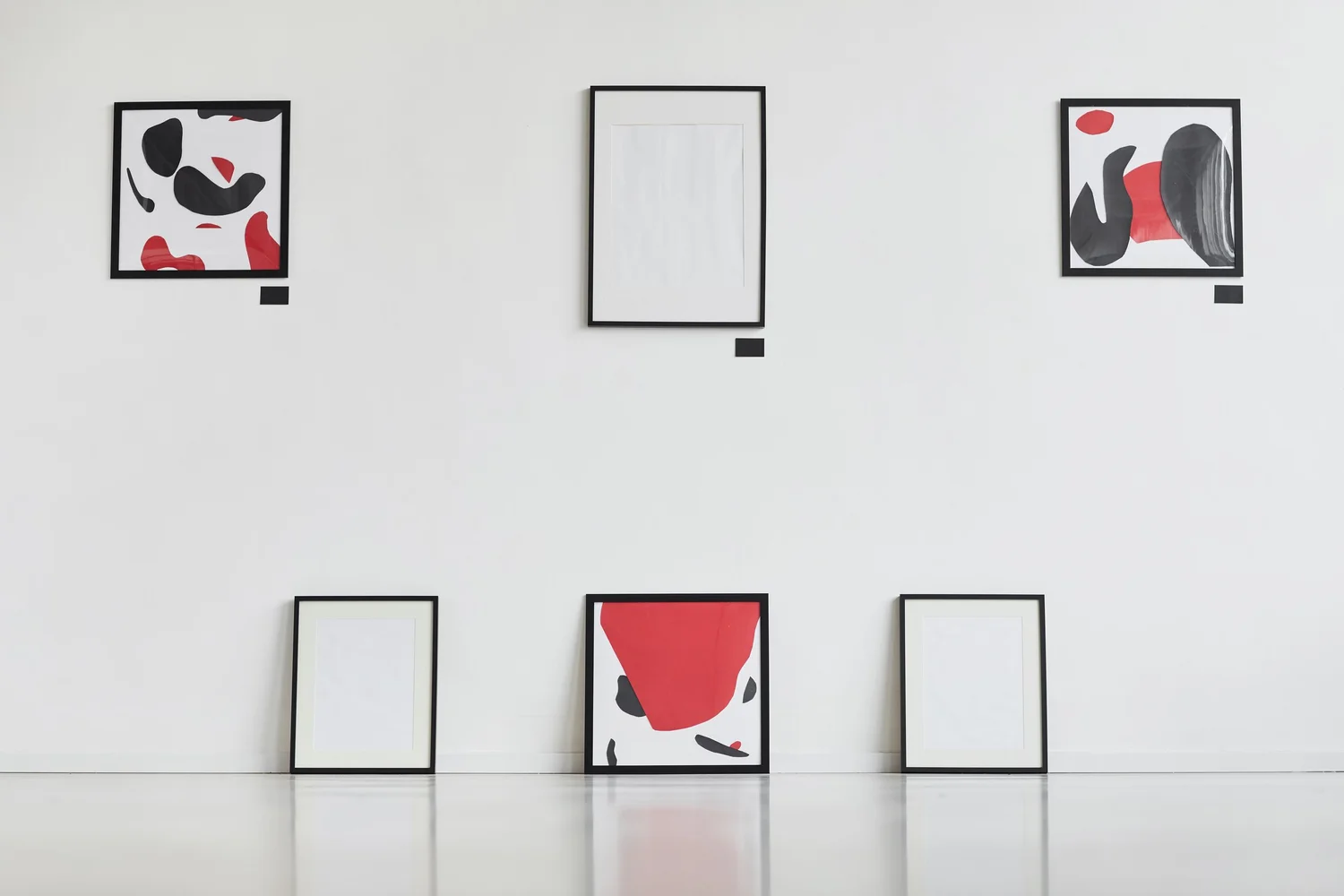 These are the 10 Most Popular Ear Piercing Types in 2023 — TRILOGY ATELIER