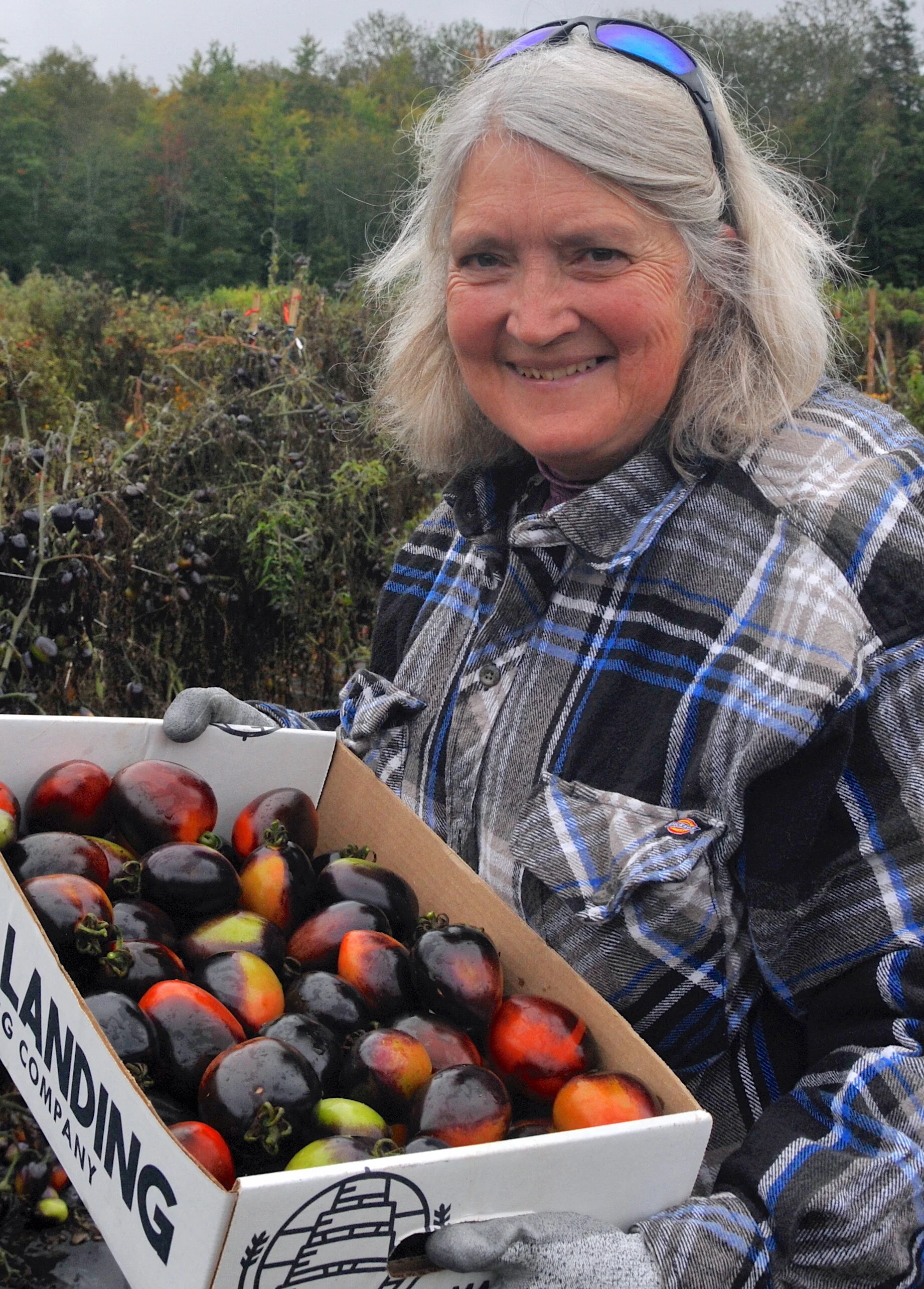 Join the Glean Team! — Waldo County Bounty