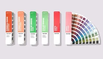 RGB vs. CMYK vs. Pantone — Creative Bell Design