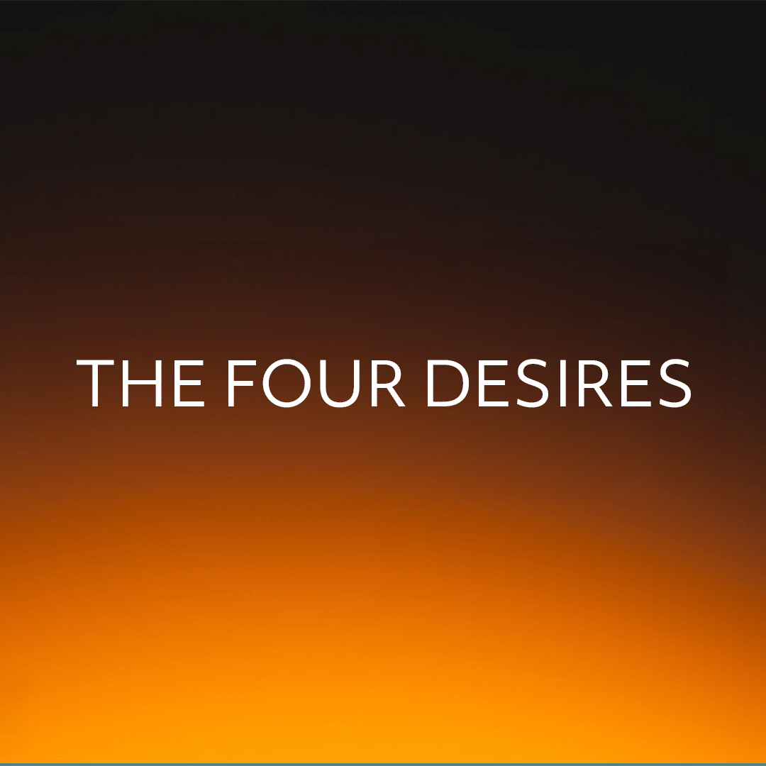 ParaYoga Tantra Shakti training | Prana Yoga Center, Geneva, IL