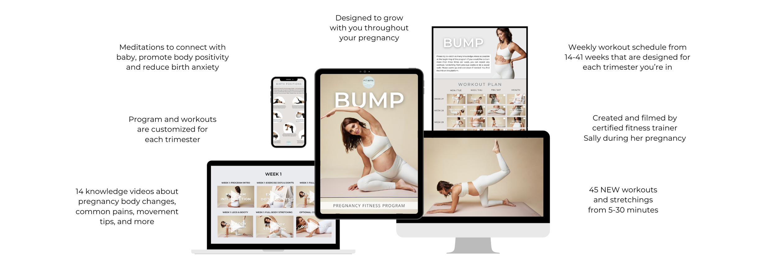 Pregnancy Workout Program — Fit With Sally