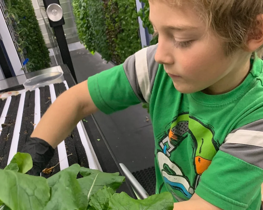 About — Pause & Pivot Farm