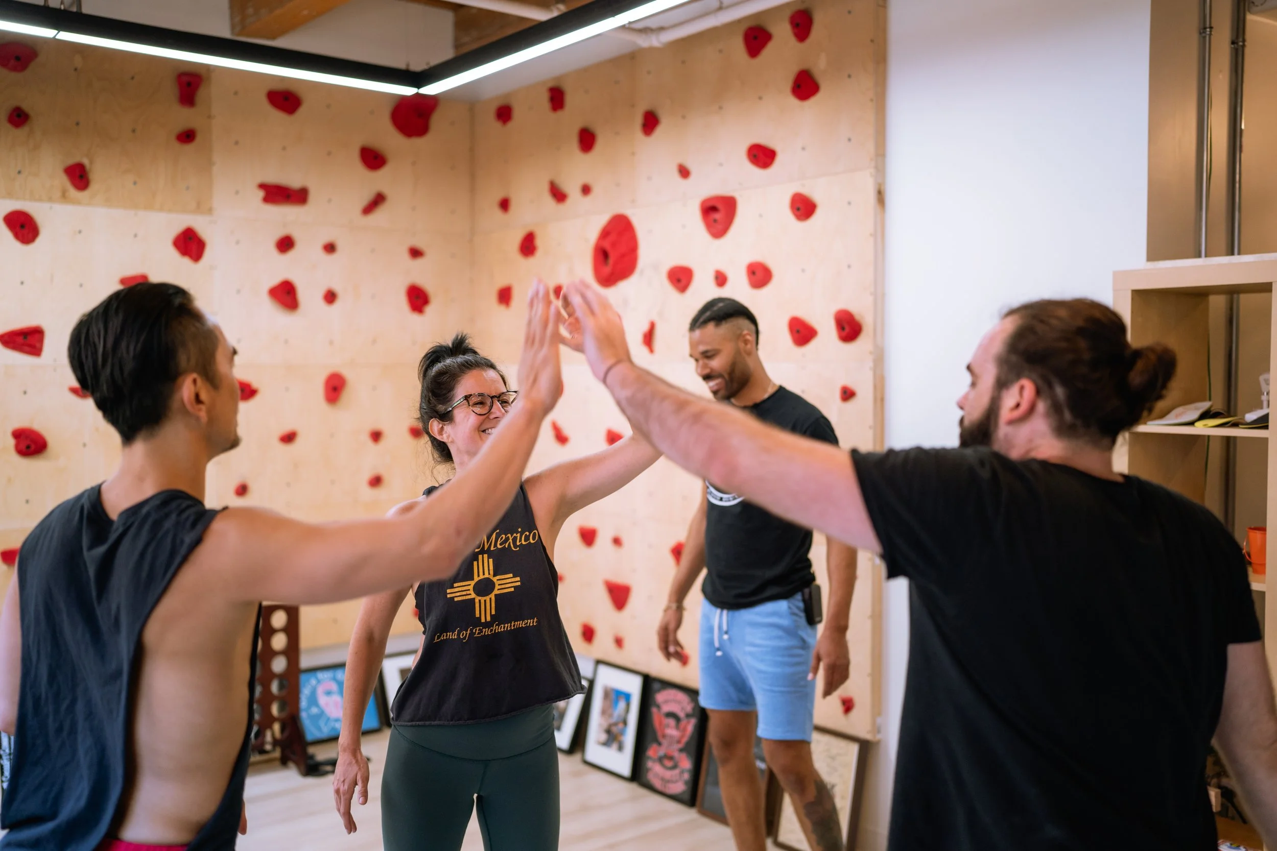 Chicago Movement Gym