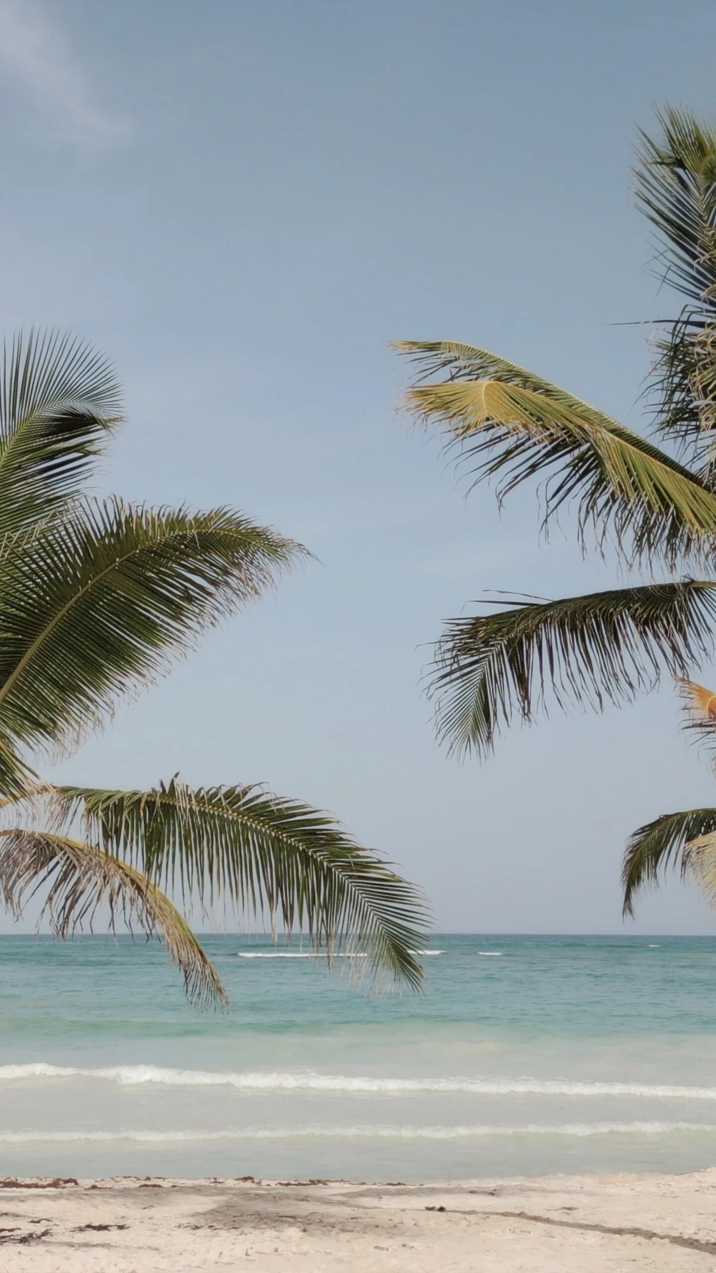 Engagement at Hidden Pines Atascocita: Estefany + Damian @UnityREEL