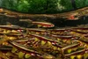 Hidden Rivers — Freshwaters Illustrated