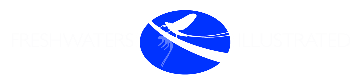 Hidden Rivers — Freshwaters Illustrated