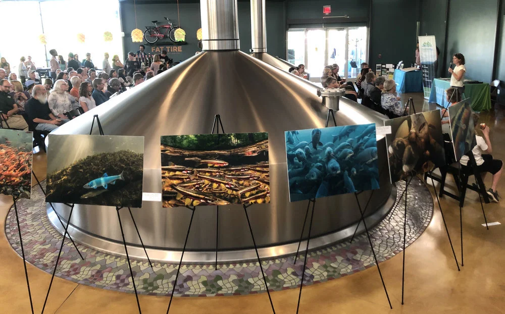 Host a Hidden Rivers Event — Freshwaters Illustrated