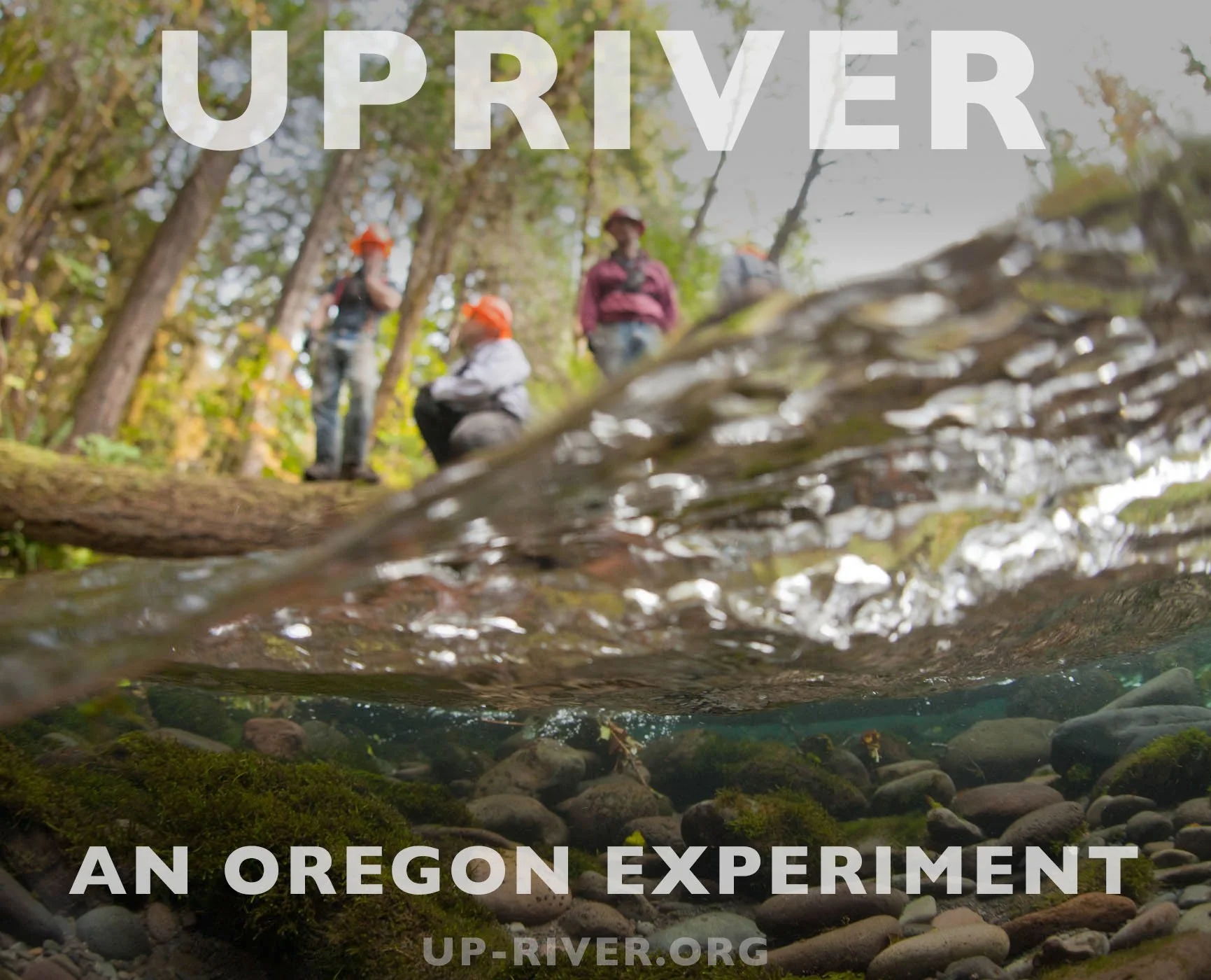 Upriver — Freshwaters Illustrated