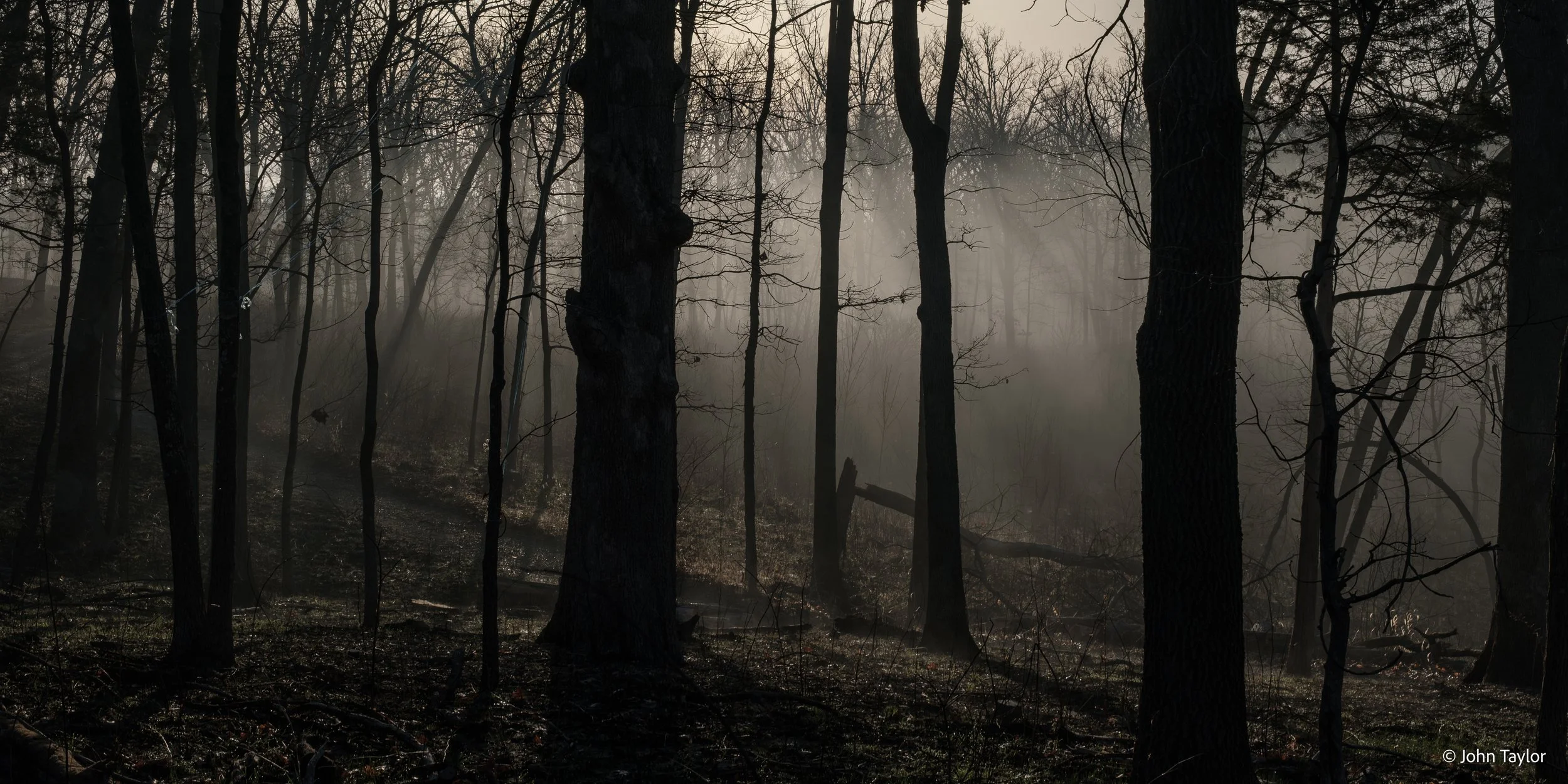 John Taylor Photography