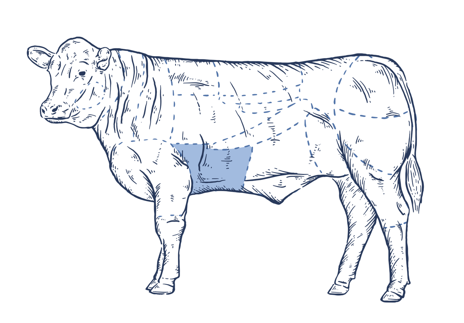 Macka Cuts & Recipes — Macka's Australian Black Angus Beef
