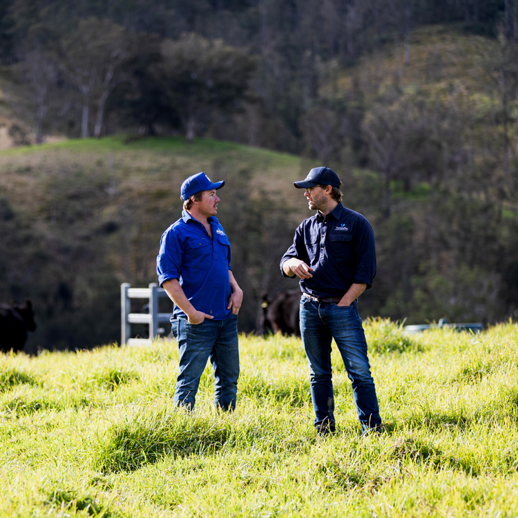 Macka's Experience — Macka's Australian Black Angus Pastoral & Beef