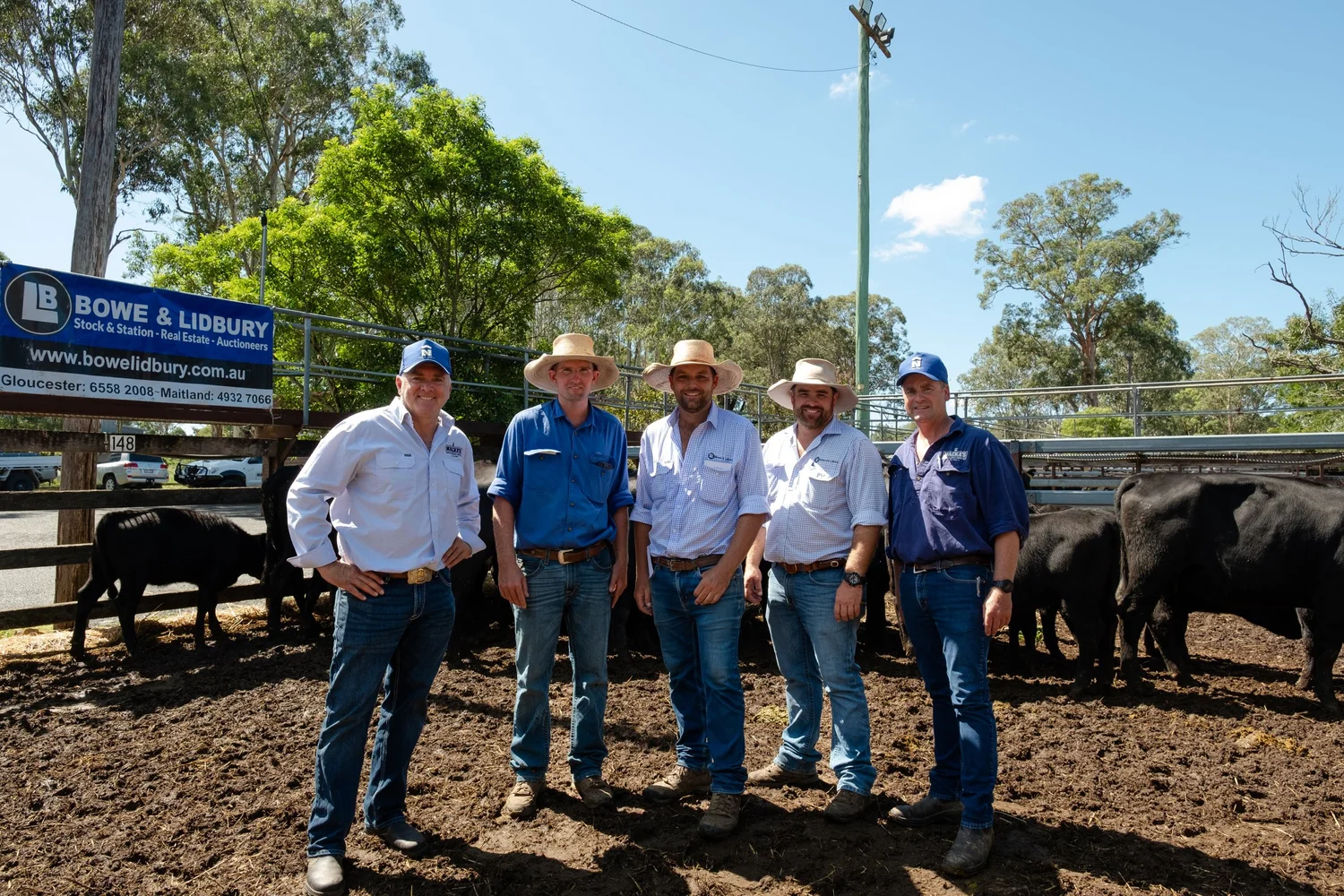Gloucester Angus Verified female sale sets a record for 2023 selling ...