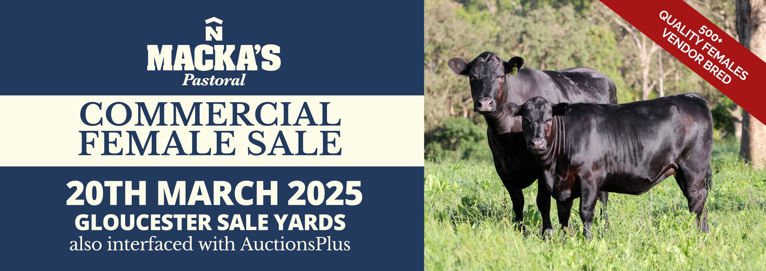 Macka's Australian Black Angus Beef