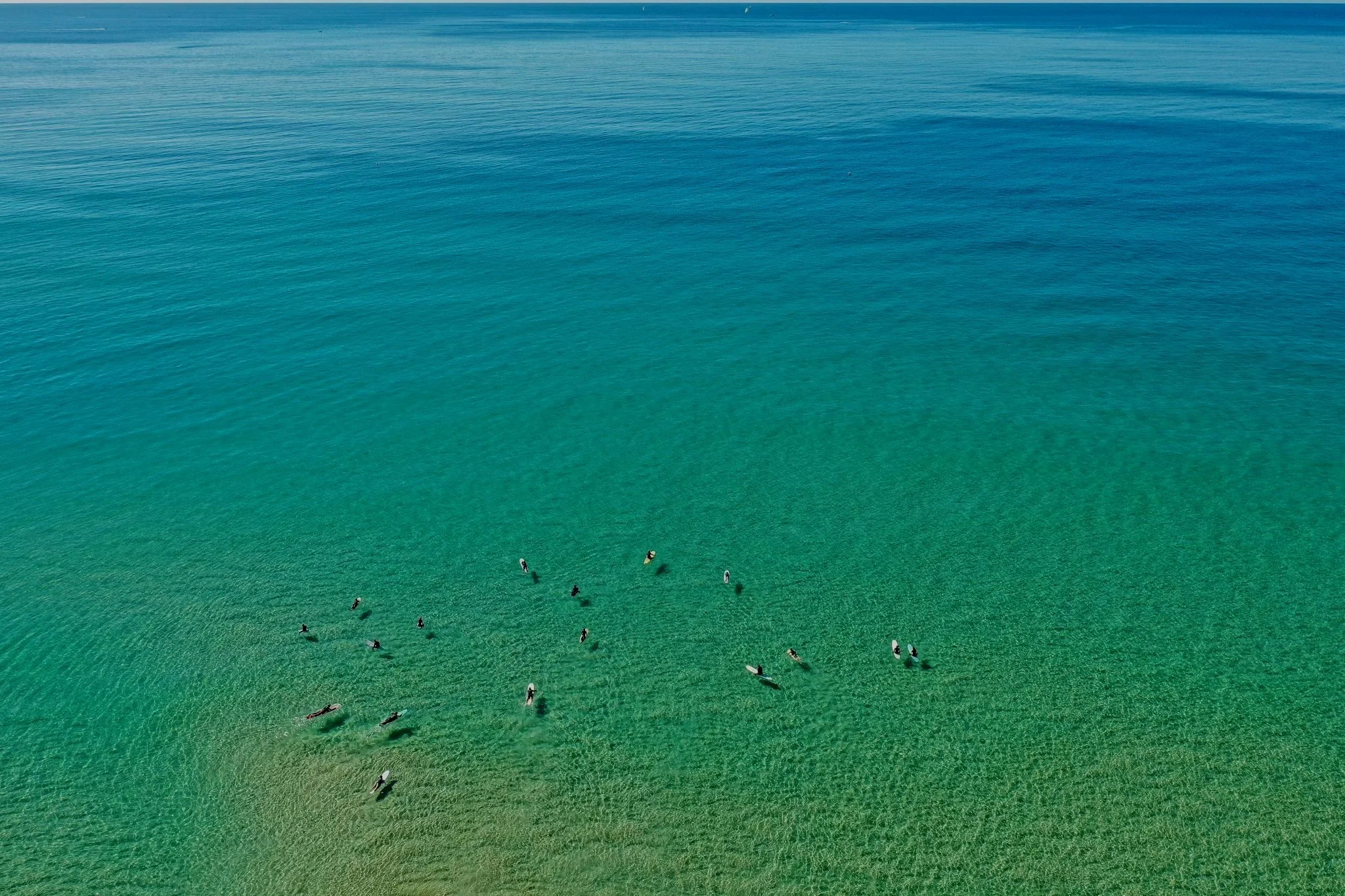 Prescription Medicinal Cannabis by Humacology