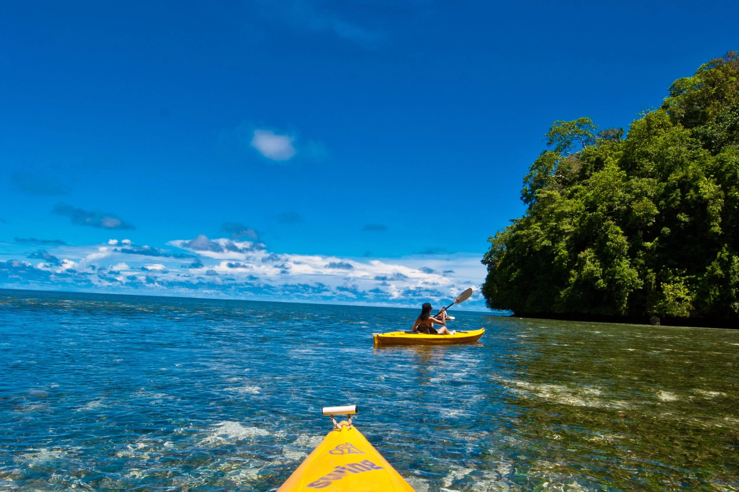 Kayak Tours | Sam's Tours Palau