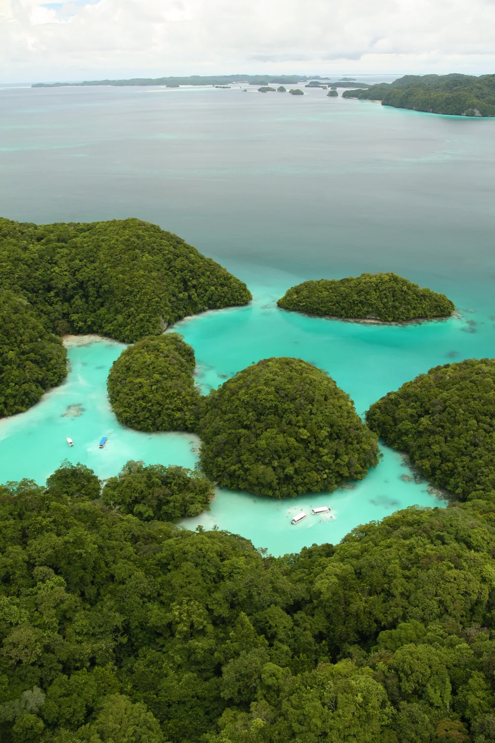 Land Tours | Sam's Tours Palau