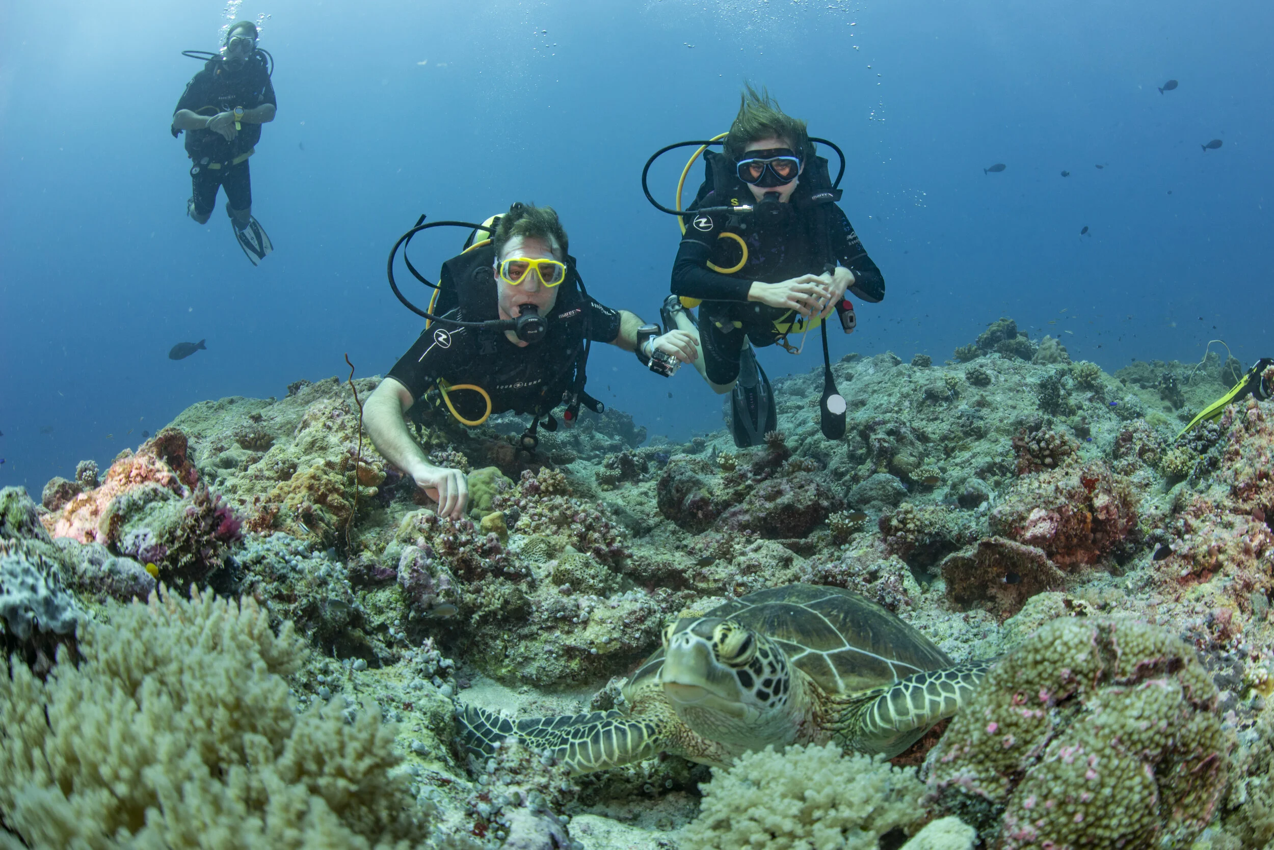 Palau Dive Shop & Travel Guide | Sam's Tours Palau