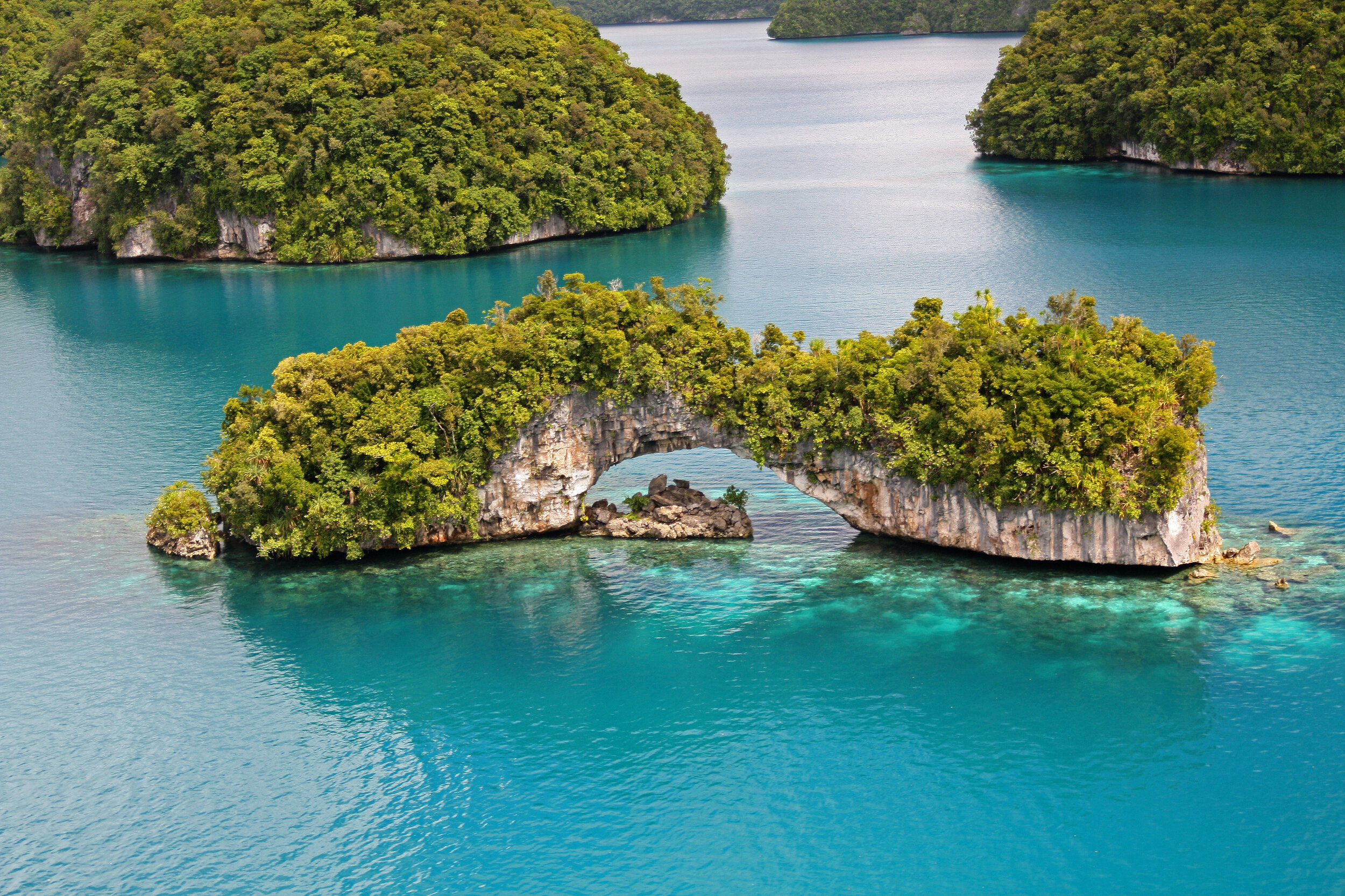 Palau Dive Shop & Travel Guide | Sam's Tours Palau