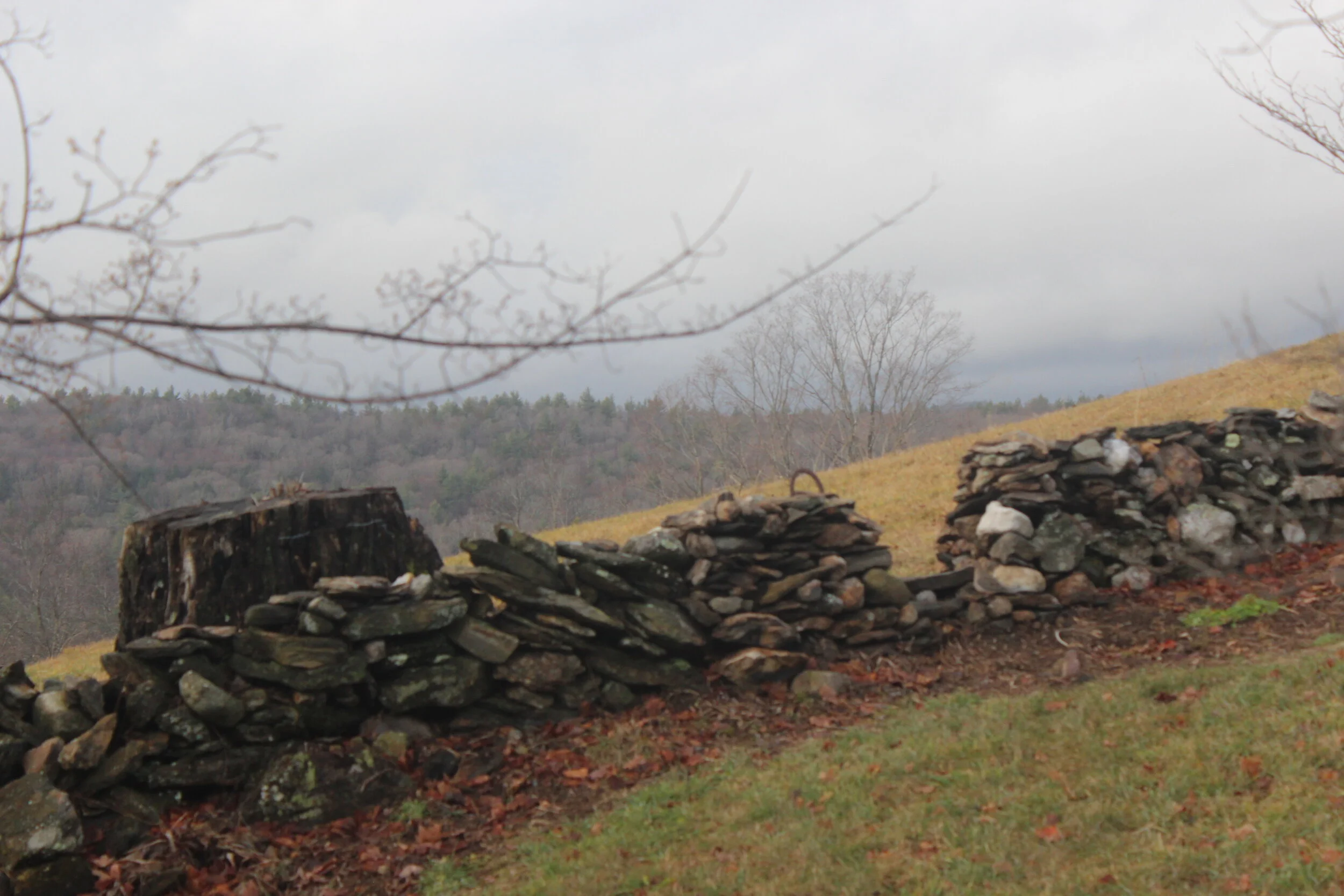 Photo Gallery — Earth Bridge Community Land Trust