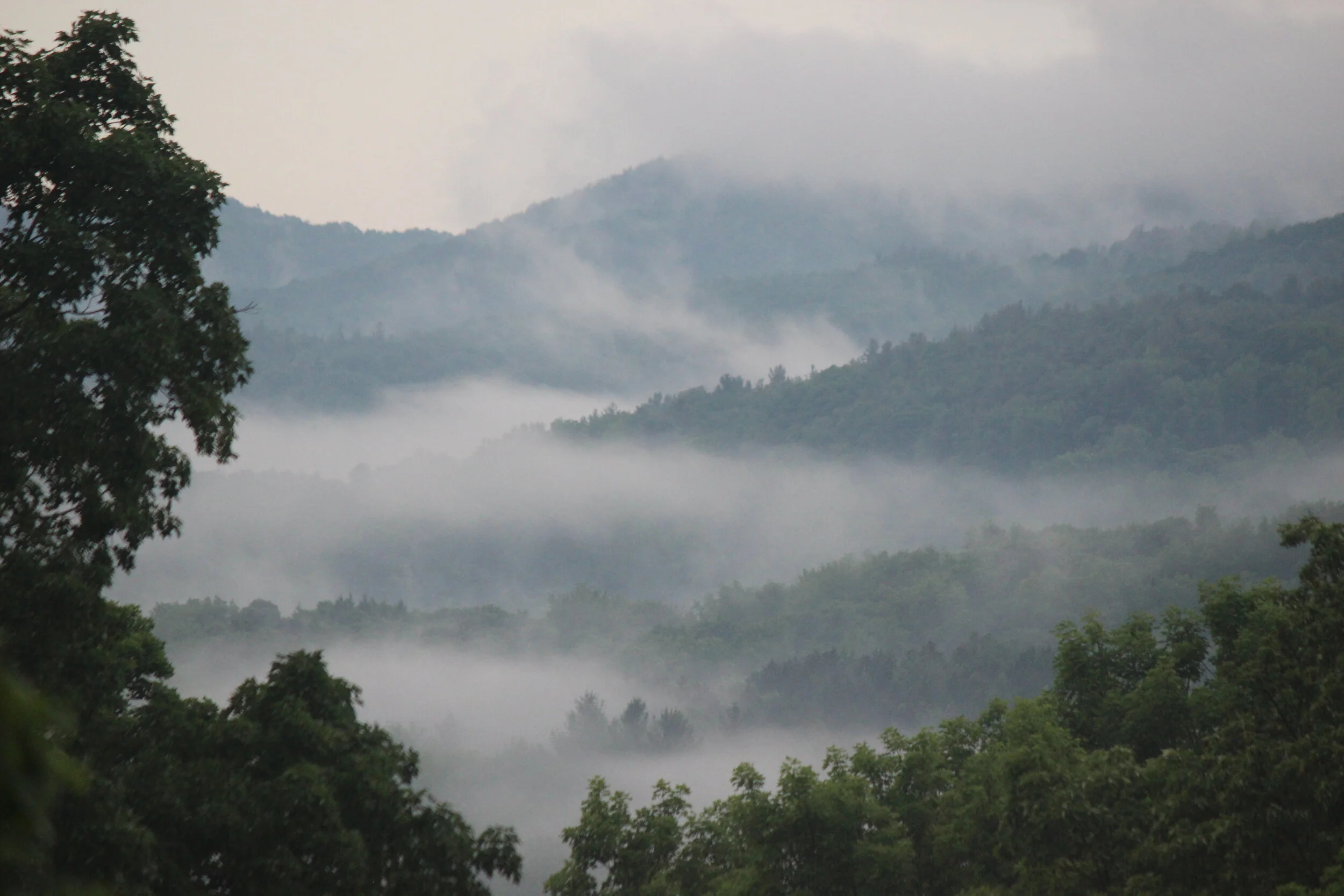 Photo Gallery — Earth Bridge Community Land Trust