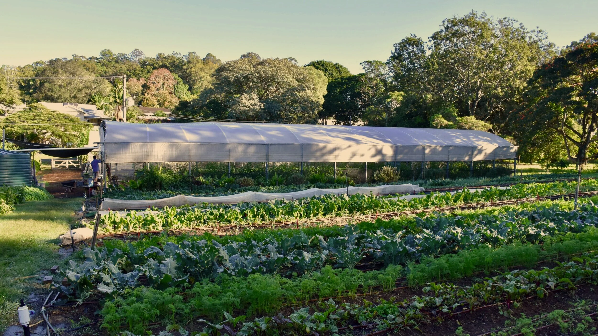 News — Neighbourhood Farm