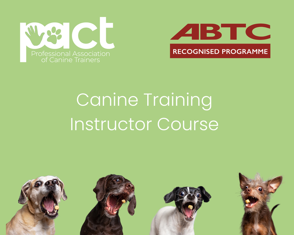 Become an accredited and formally recognised Dog Trainer