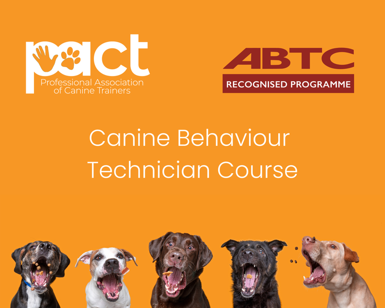 Become an accredited and formally recognised Dog Trainer