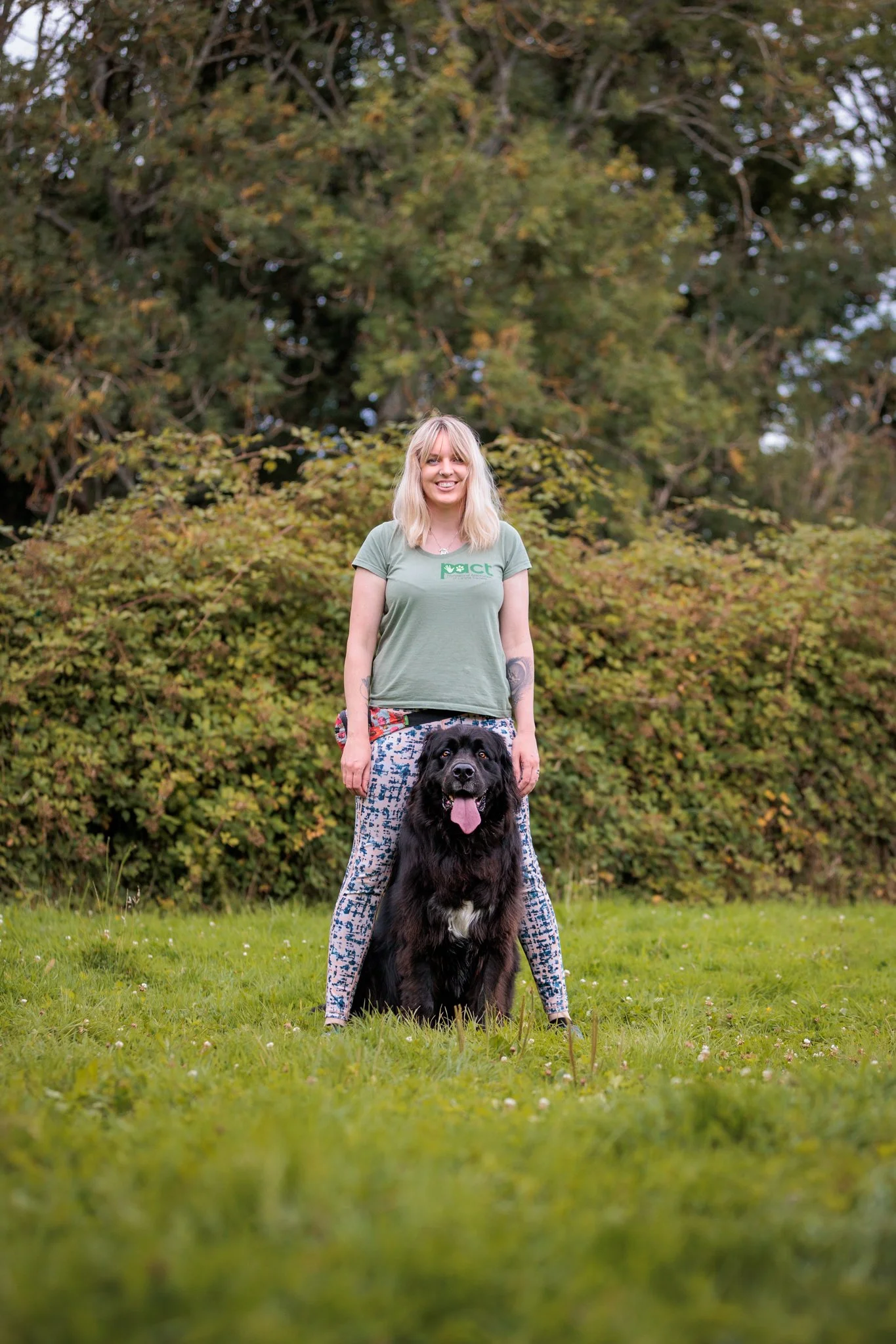 Become an accredited and formerly recognised Dog Trainer