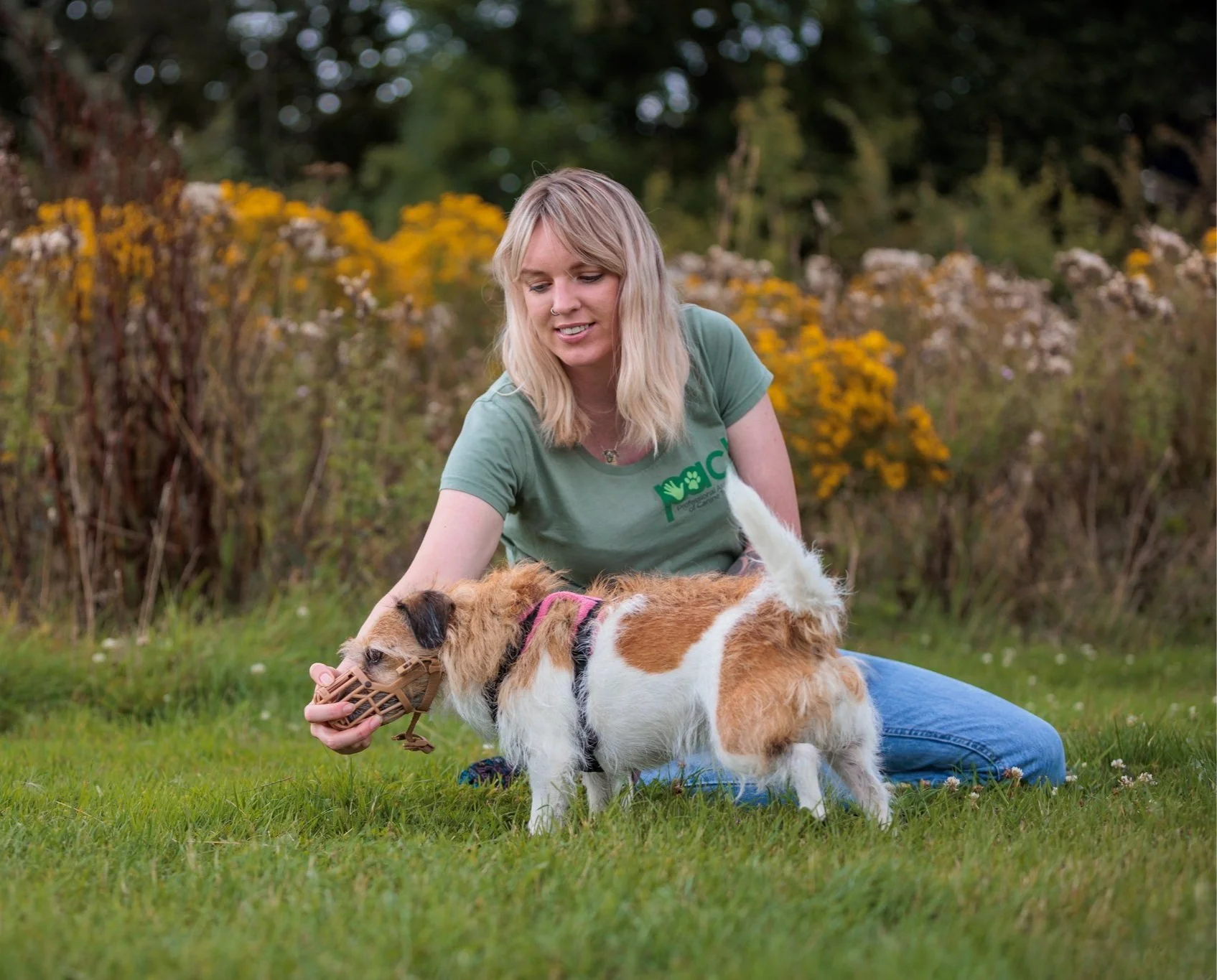 Become an accredited and formerly recognised Dog Trainer