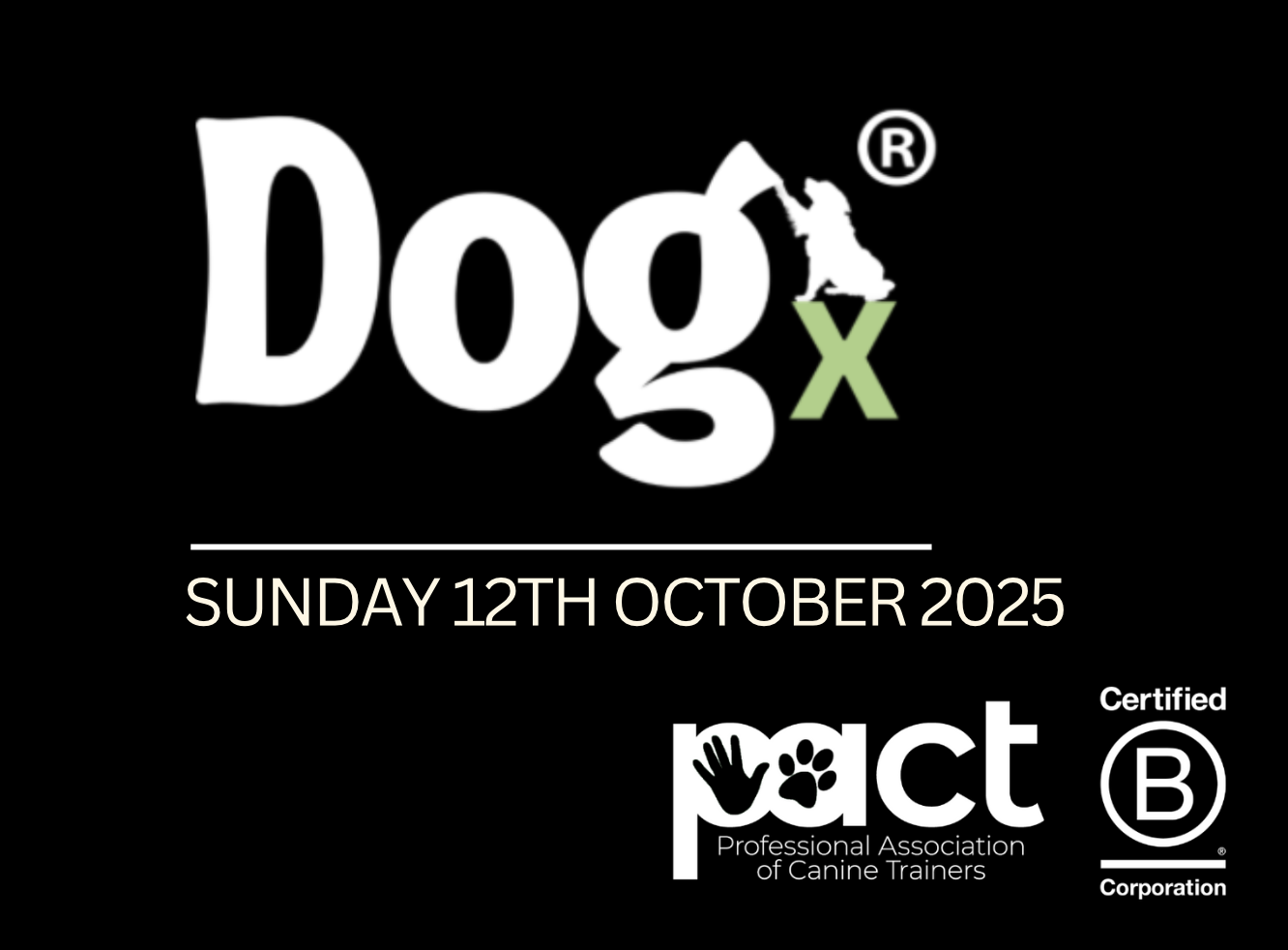 Become an accredited and formally recognised Dog Trainer