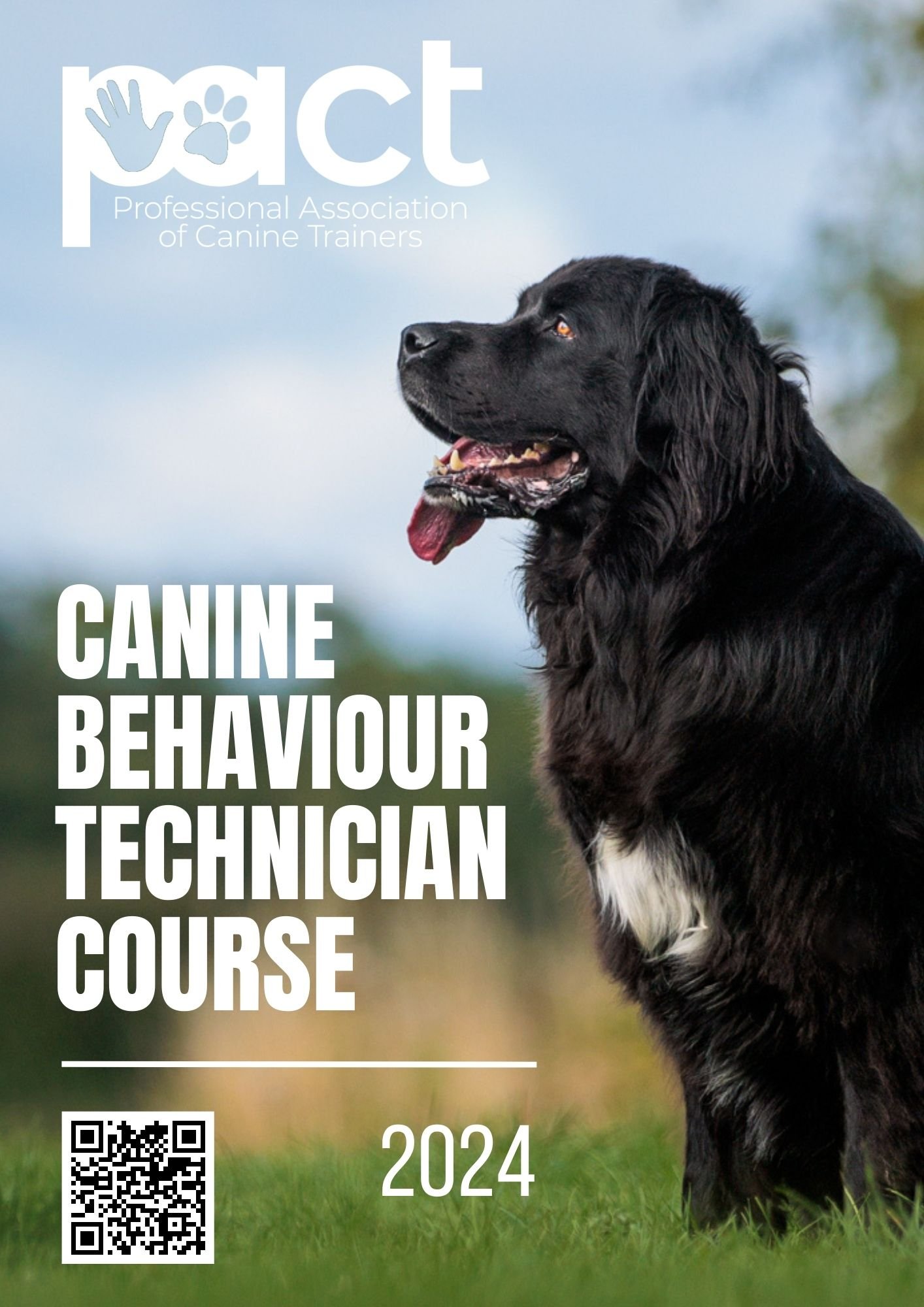 Become an accredited and formally recognised Dog Trainer