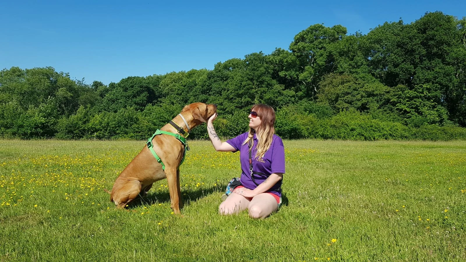 Professional Association of Canine Trainers