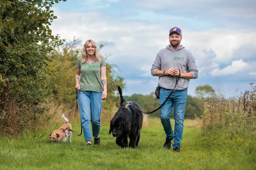 Become an accredited and formally recognised Dog Trainer