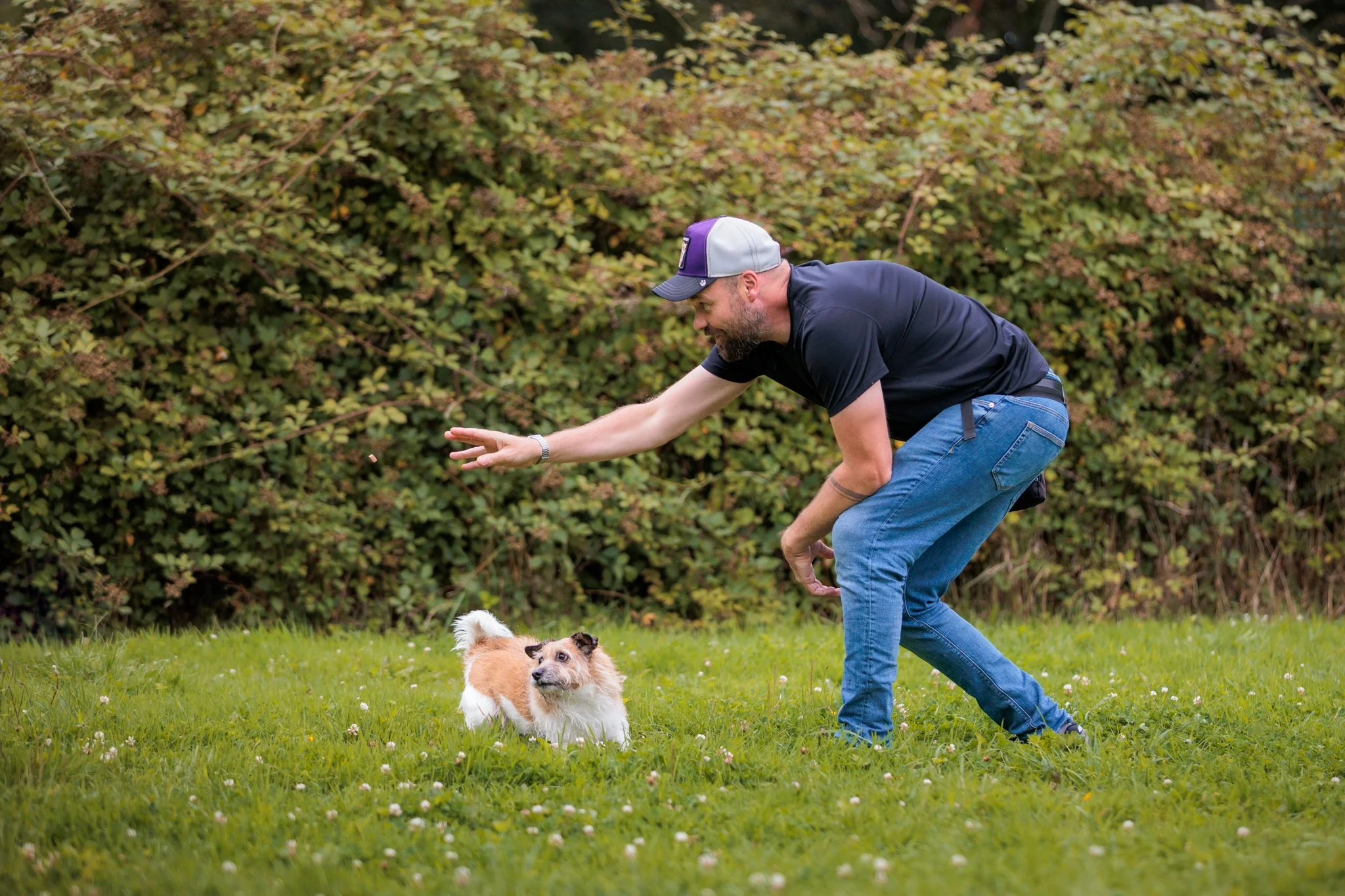 Become an accredited and formerly recognised Dog Trainer