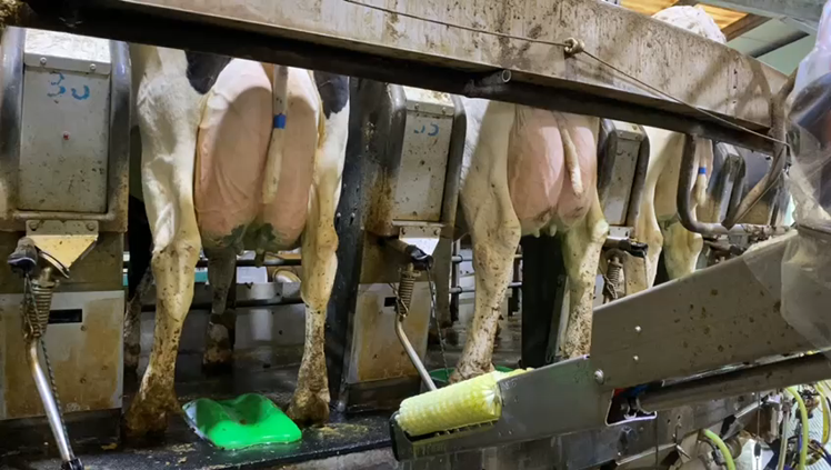 News — Peacock Technology