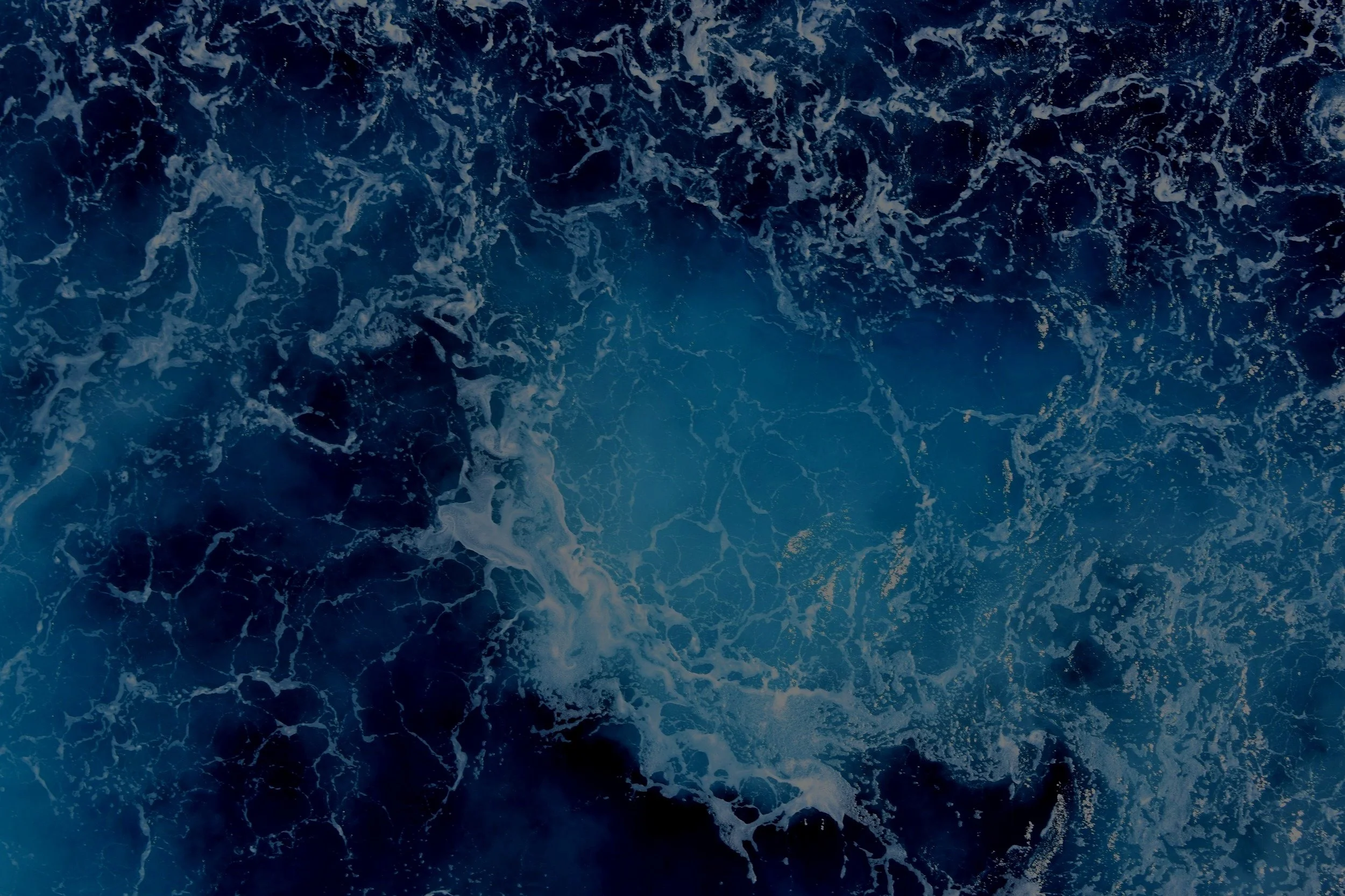 Our Services | Navitrans Shipping Agencies: Professional Maritime ...