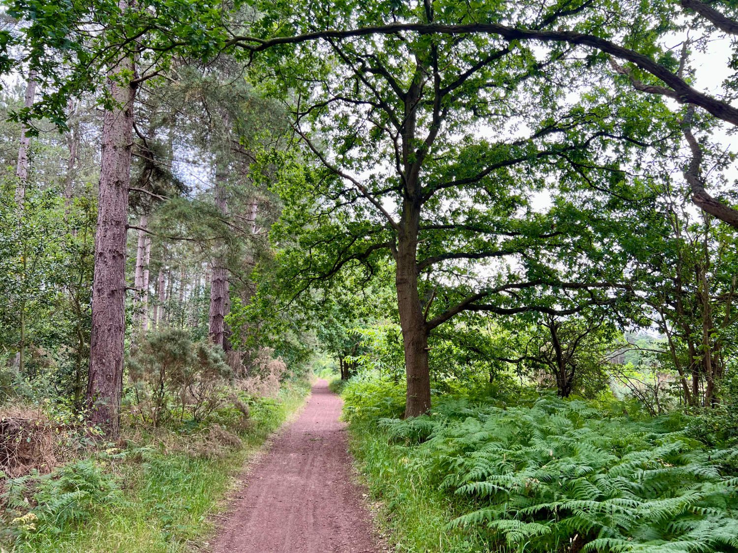 National Cycle Route 6 — Where my wheels go