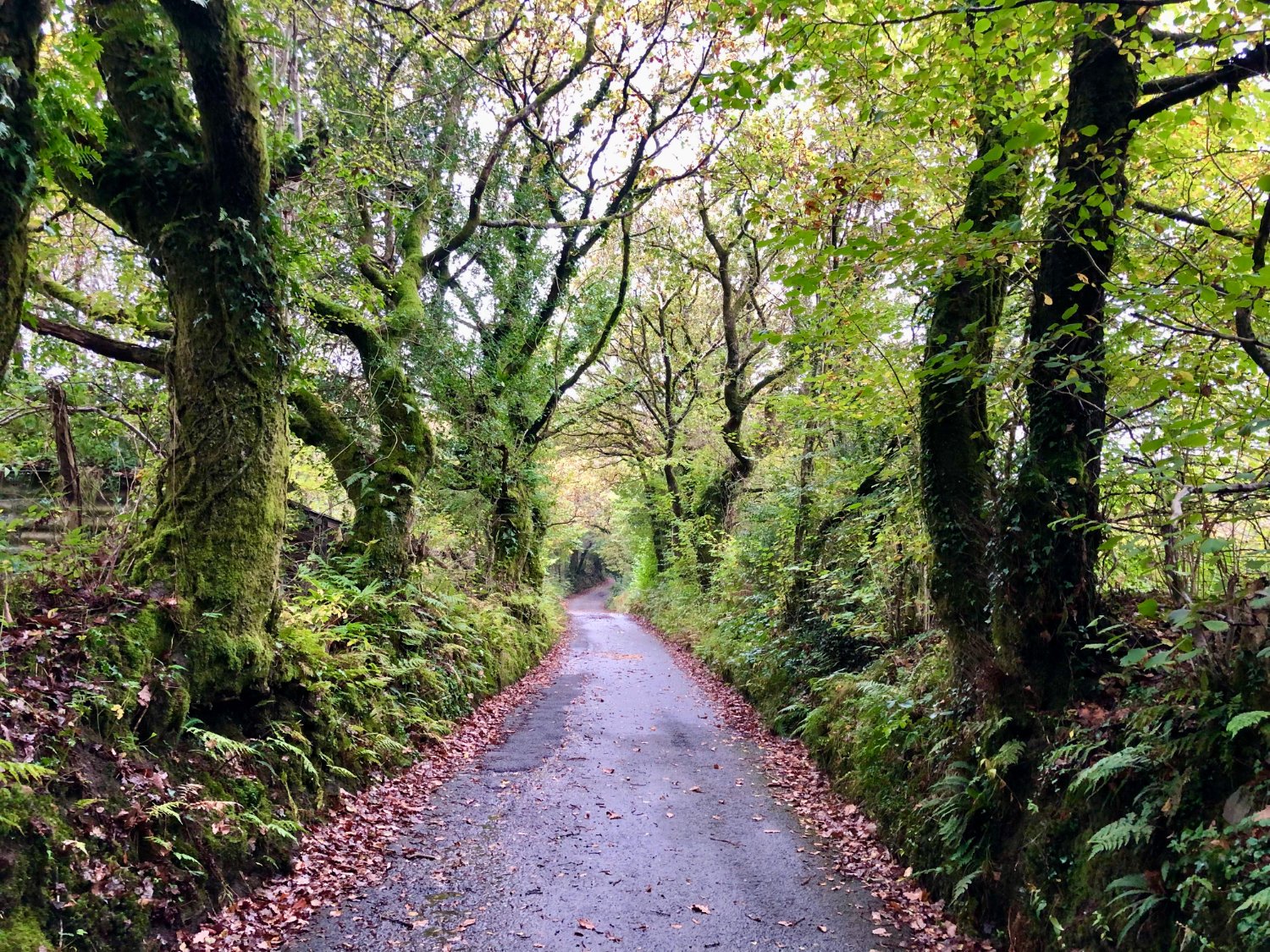 National Cycle Route 4 — Where my wheels go