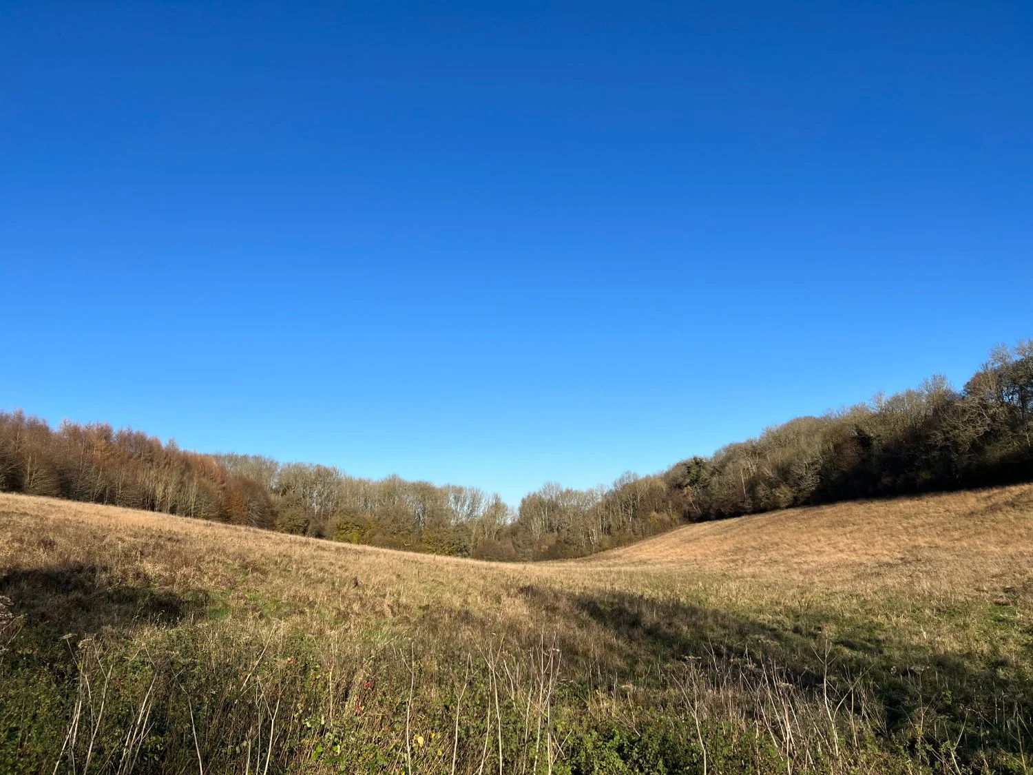 National Cycle Route 21 — Where my wheels go