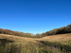 National Cycle Route 21 — Where my wheels go