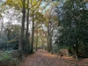 National Cycle Route 21 — Where my wheels go