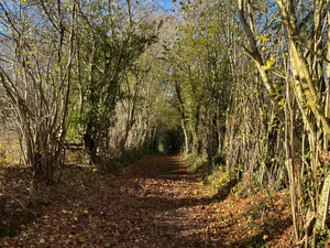 National Cycle Route 21 — Where my wheels go