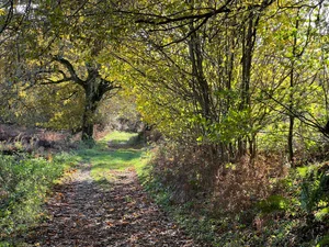 National Cycle Route 21 — Where my wheels go