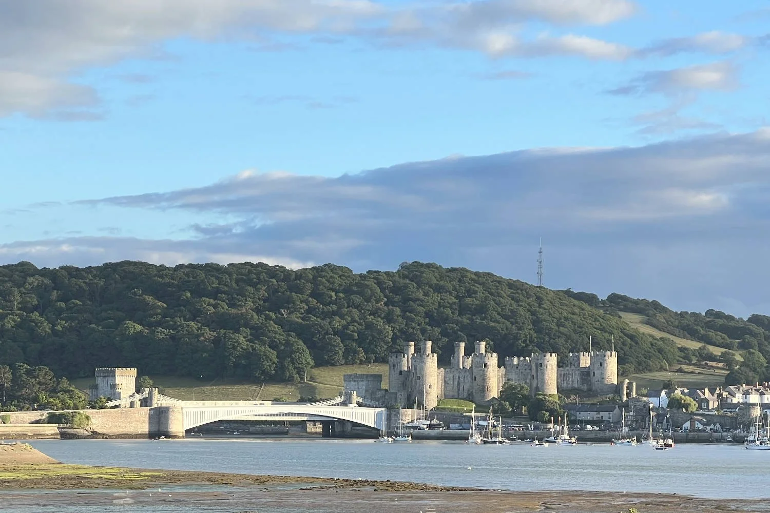National Cycle Route 5 — Where my wheels go