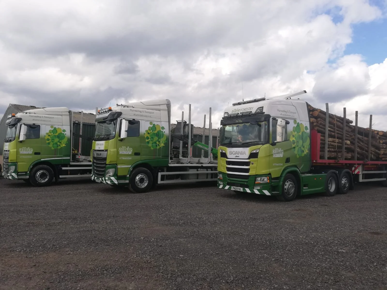 About — Albie Forestry Ltd